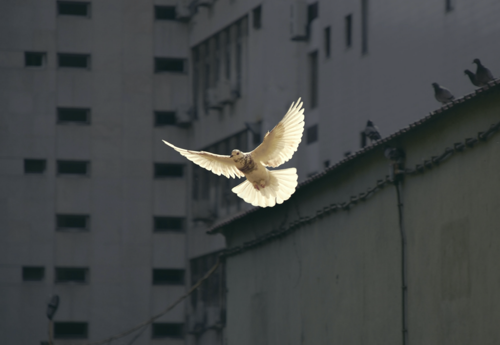 Cultural Diversity and 10 Ways to Be a More Respectful Tourist