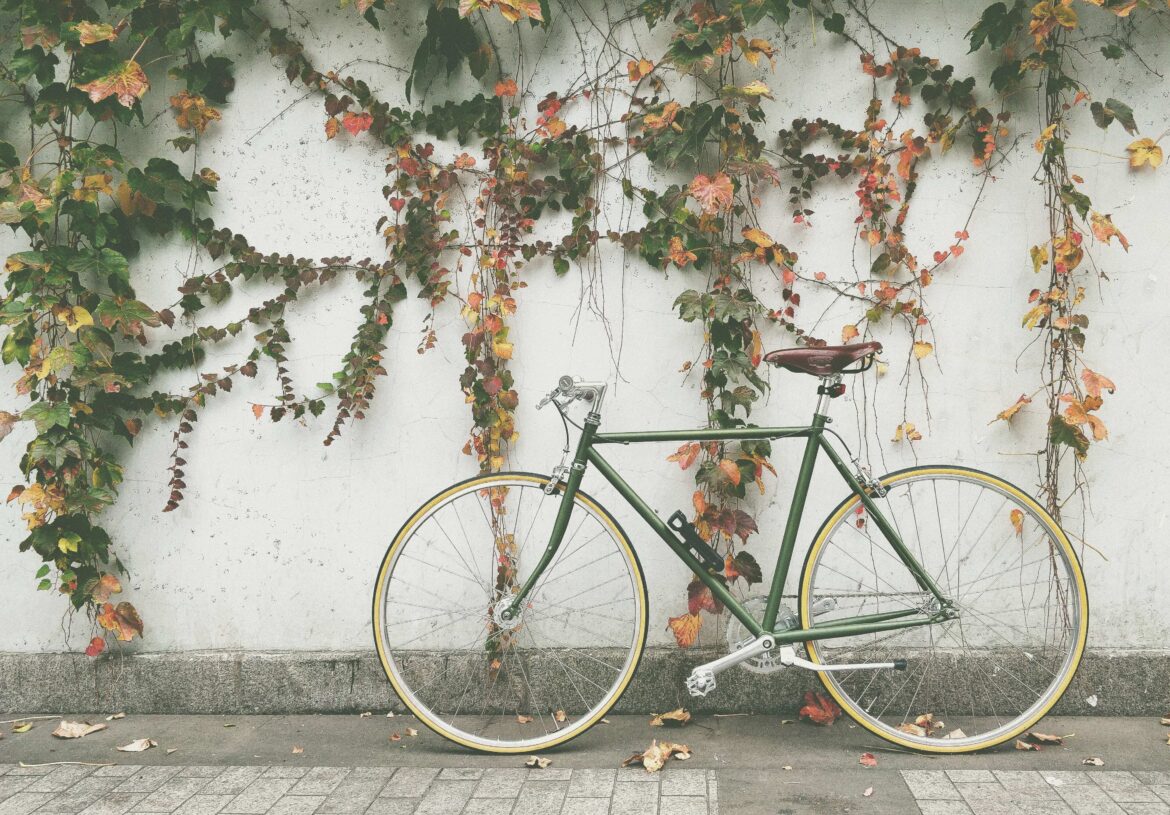 The 10 Most Bike Friendly Cities In The World the-10-most-bike-friendly-cities-in-the-world