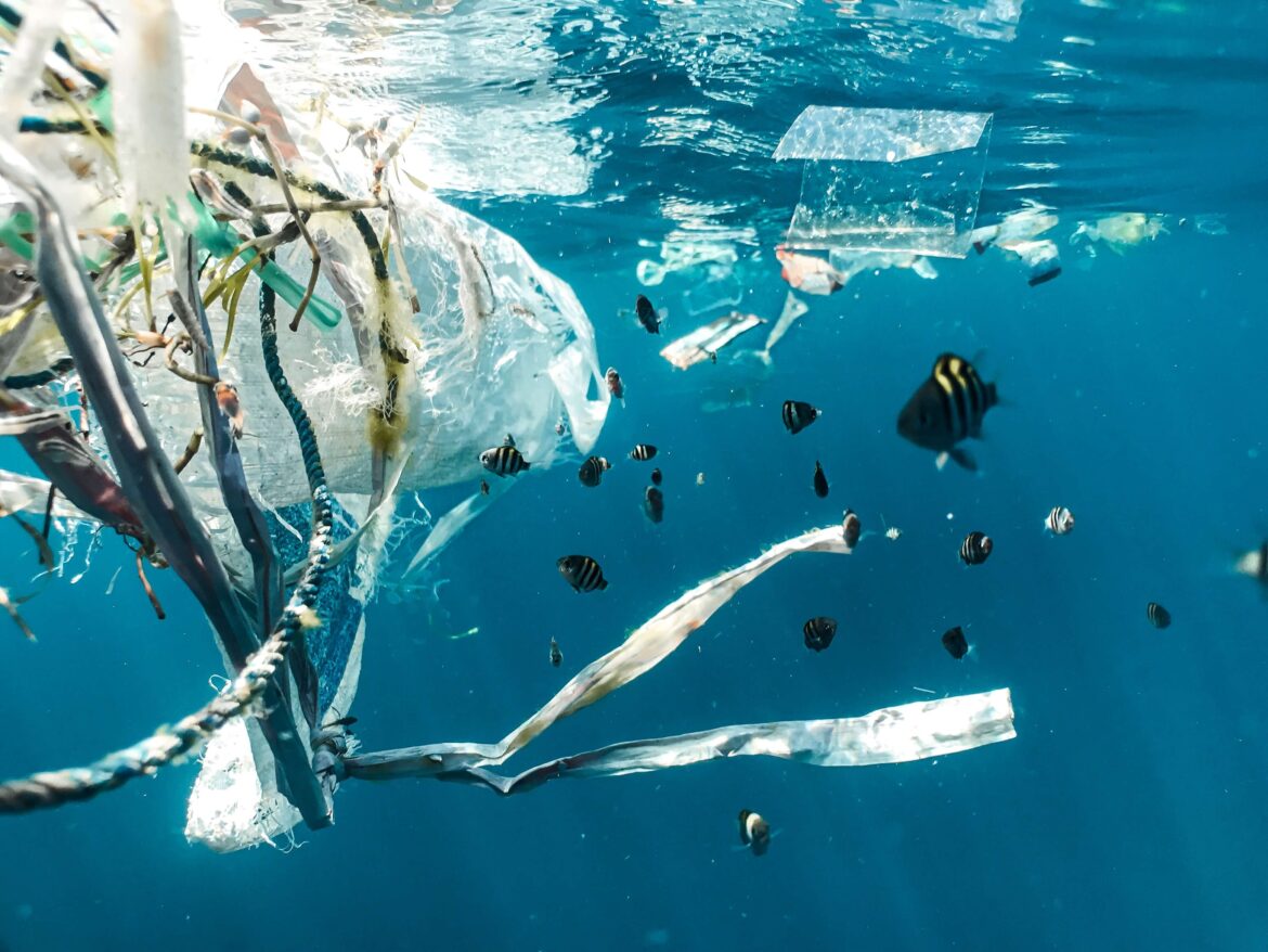 10 Ways To Fight Plastic Pollution | Eco Travel Blog | EcoHotels.com